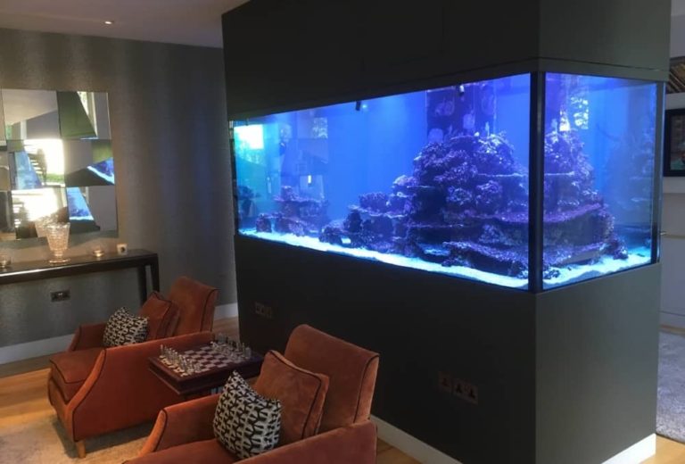 Tropical Marine Reef Aquarium - Aquatechniques