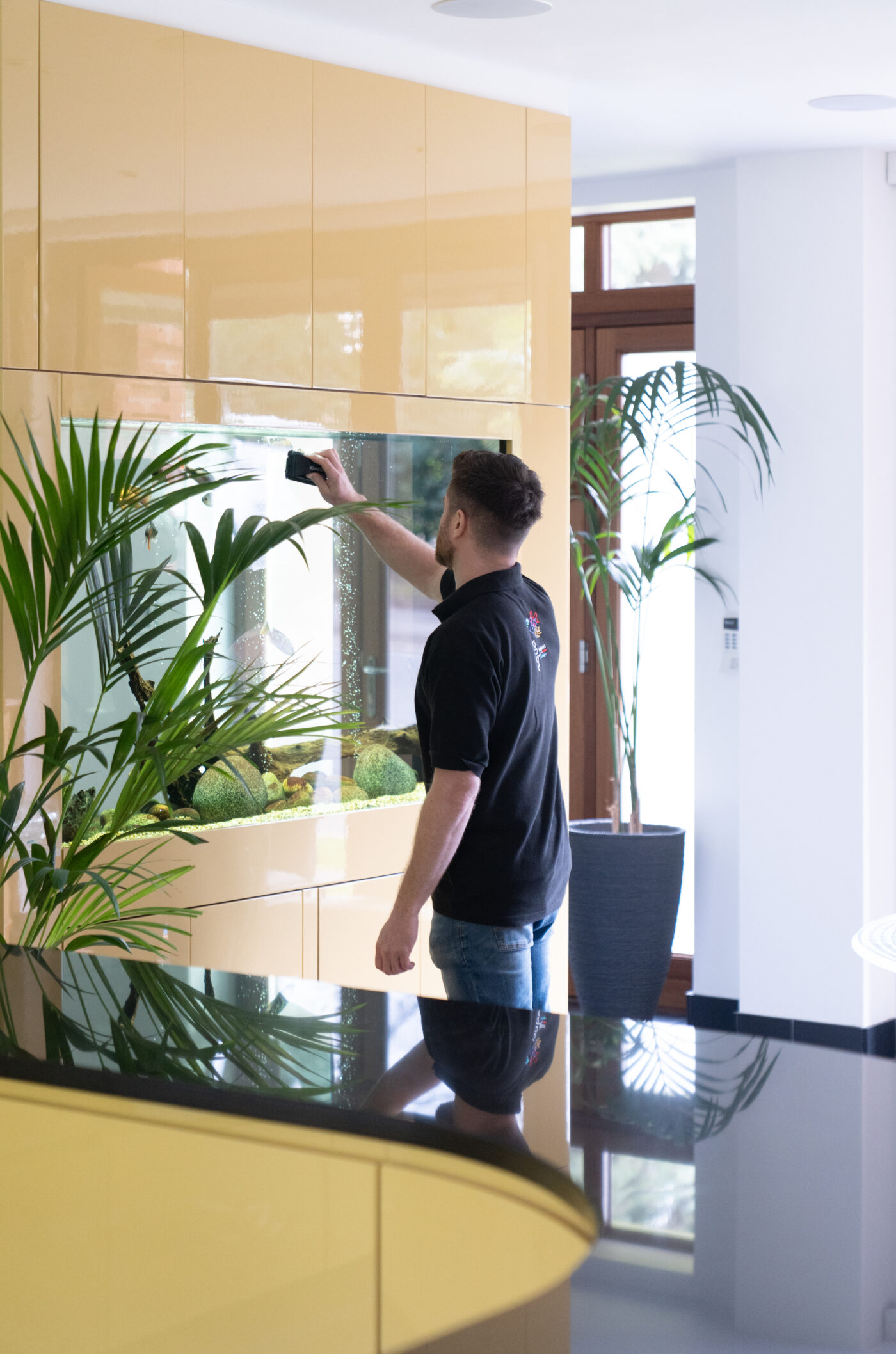 Fish Tank Maintenance Service Surrey | From AQUAtechniques