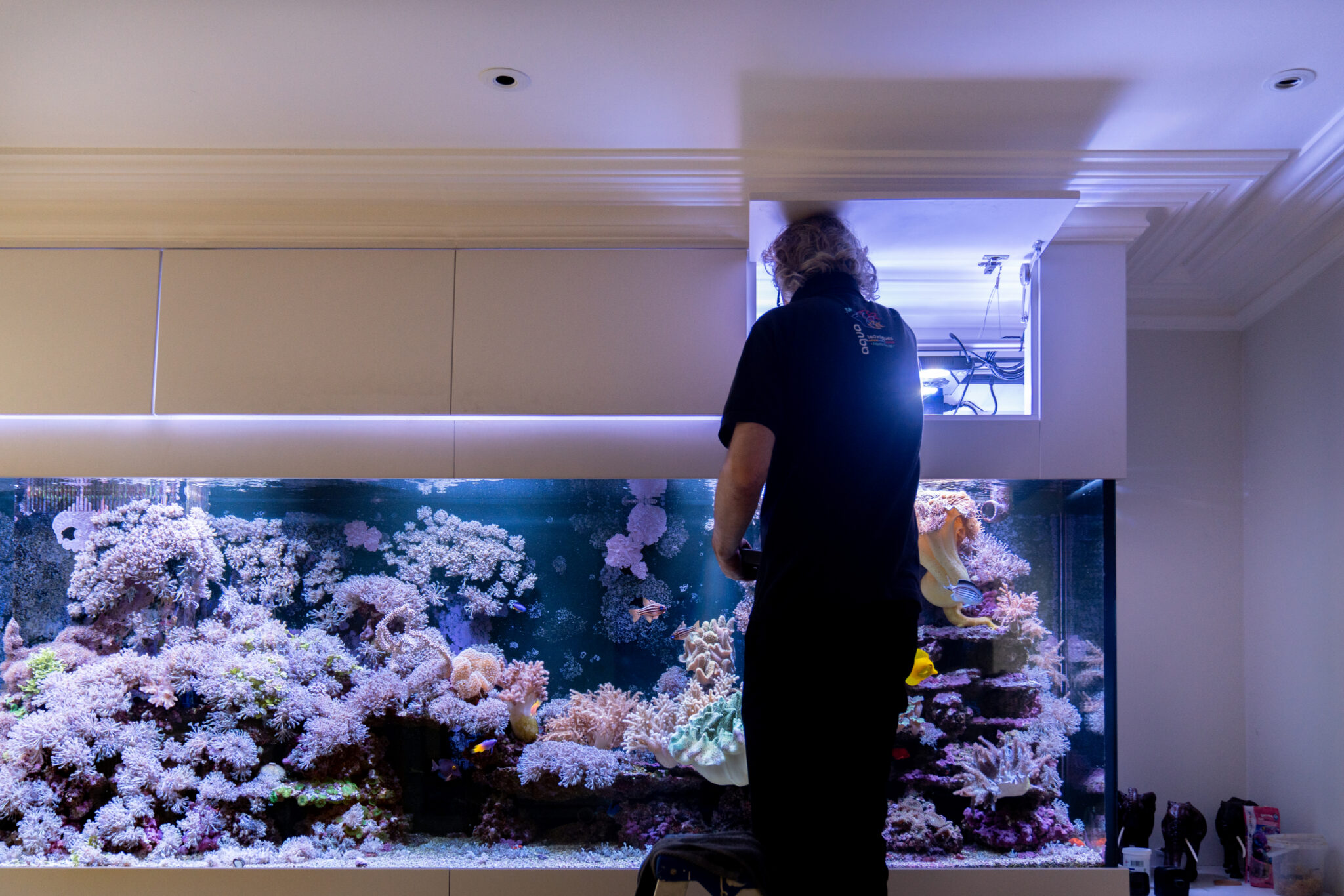 Aquarium Installation Surrey | Provided by AQUAtechniques