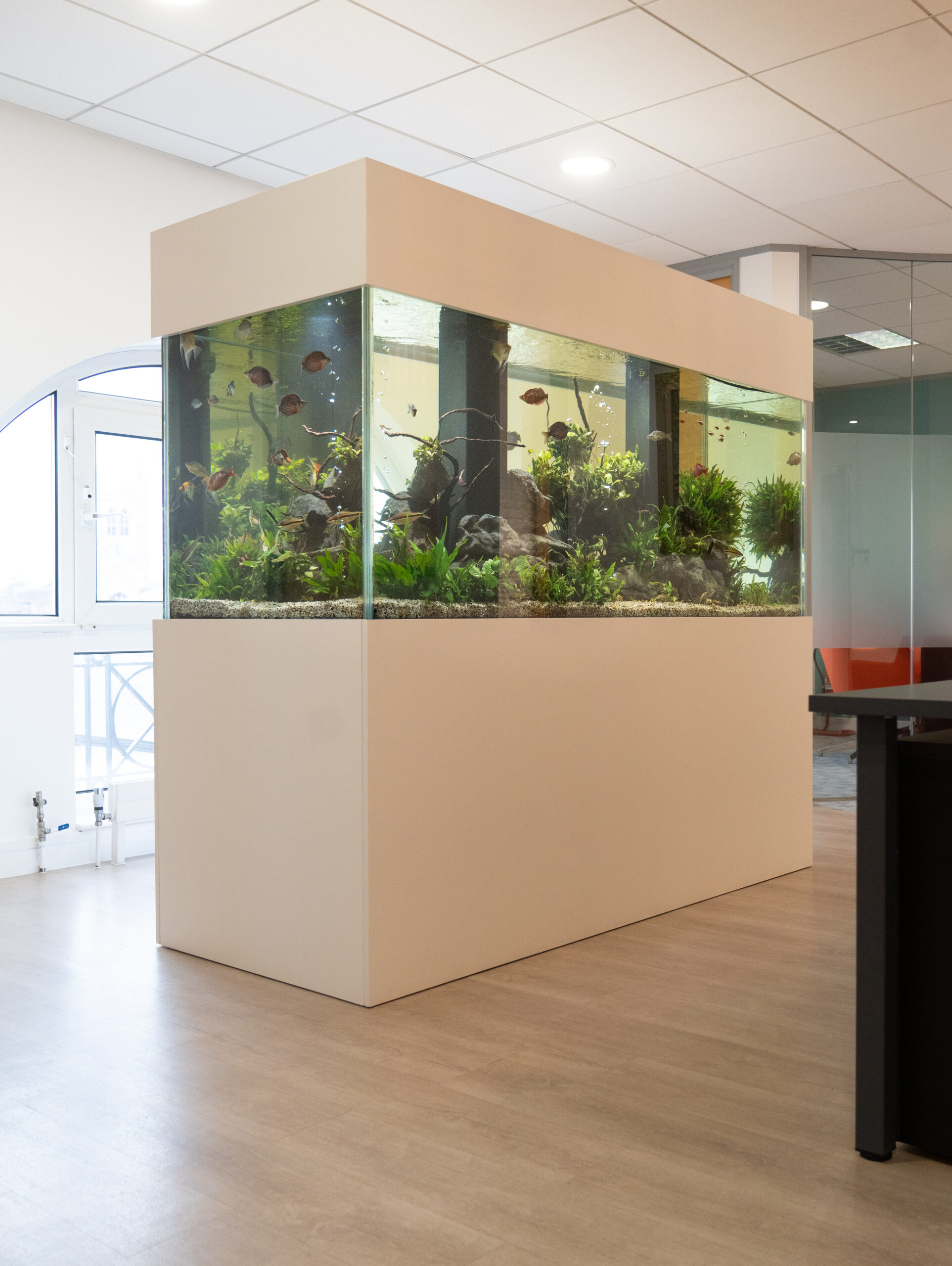 Custom Aquarium Design Surrey | From AQUAtechniques
